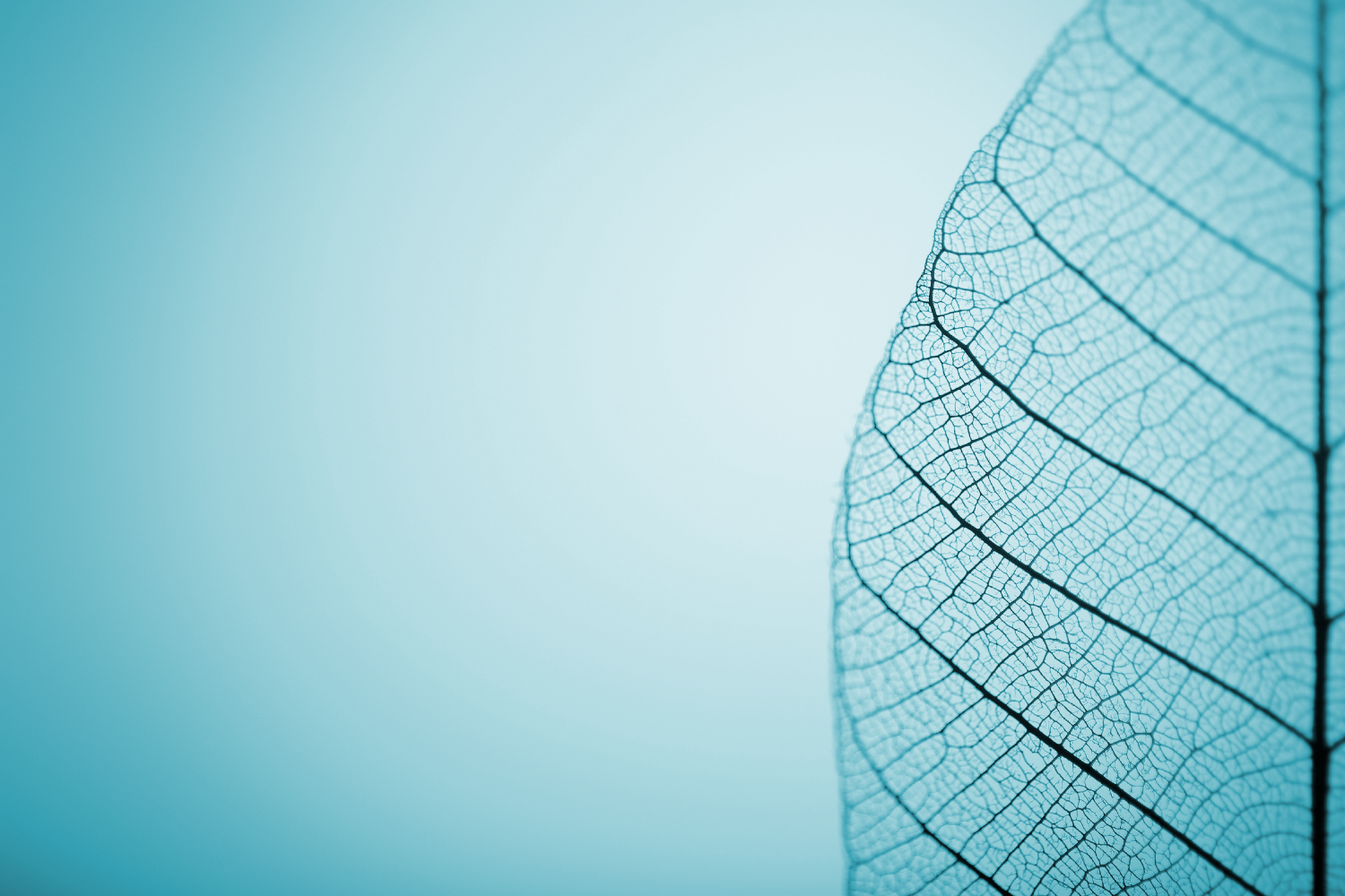 Smartleaf Asset Management - SAM